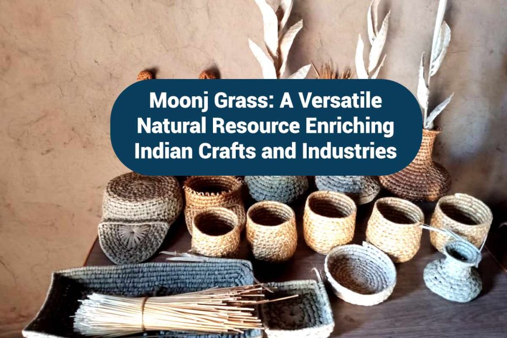 Moonj Grass: A Versatile Natural Resource Enriching Indian Crafts and ...